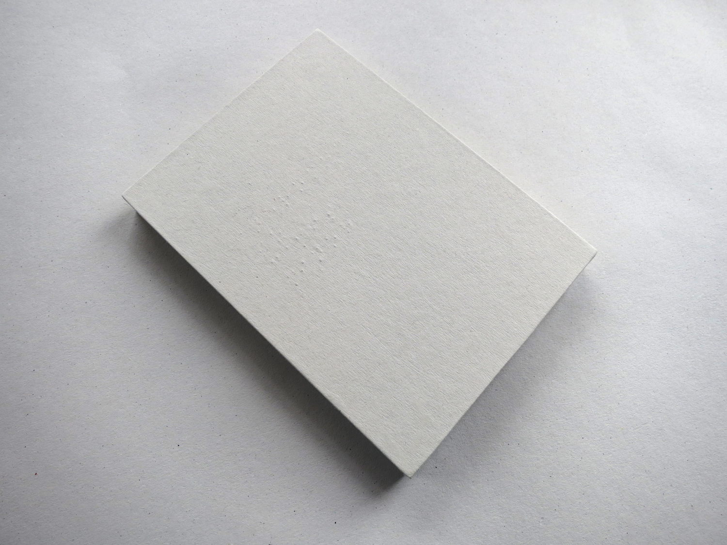 Artist's Books - Rachel Barron