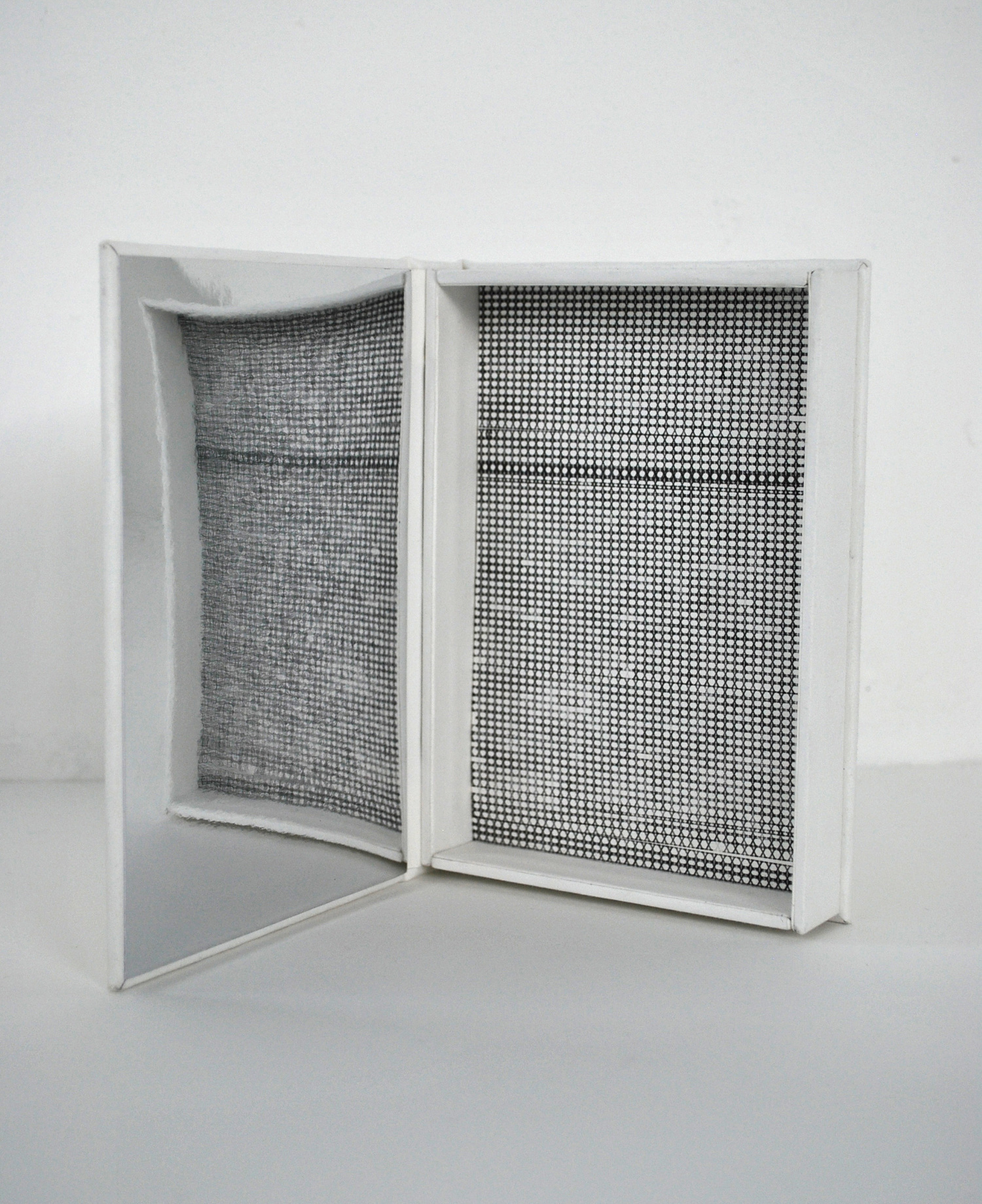 Artist's Books - Rachel Barron