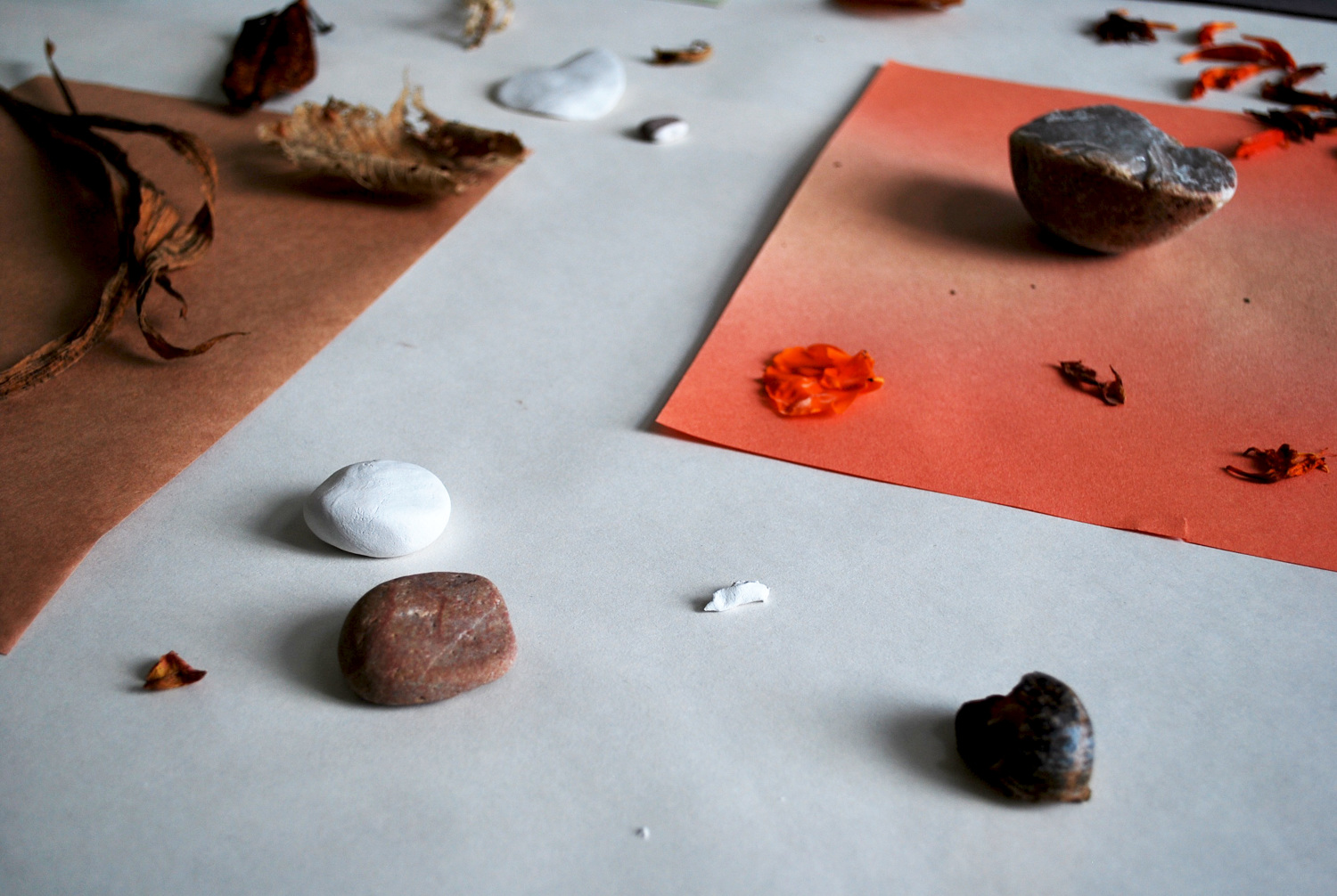 Hospitalfield Arts - Rachel Barron