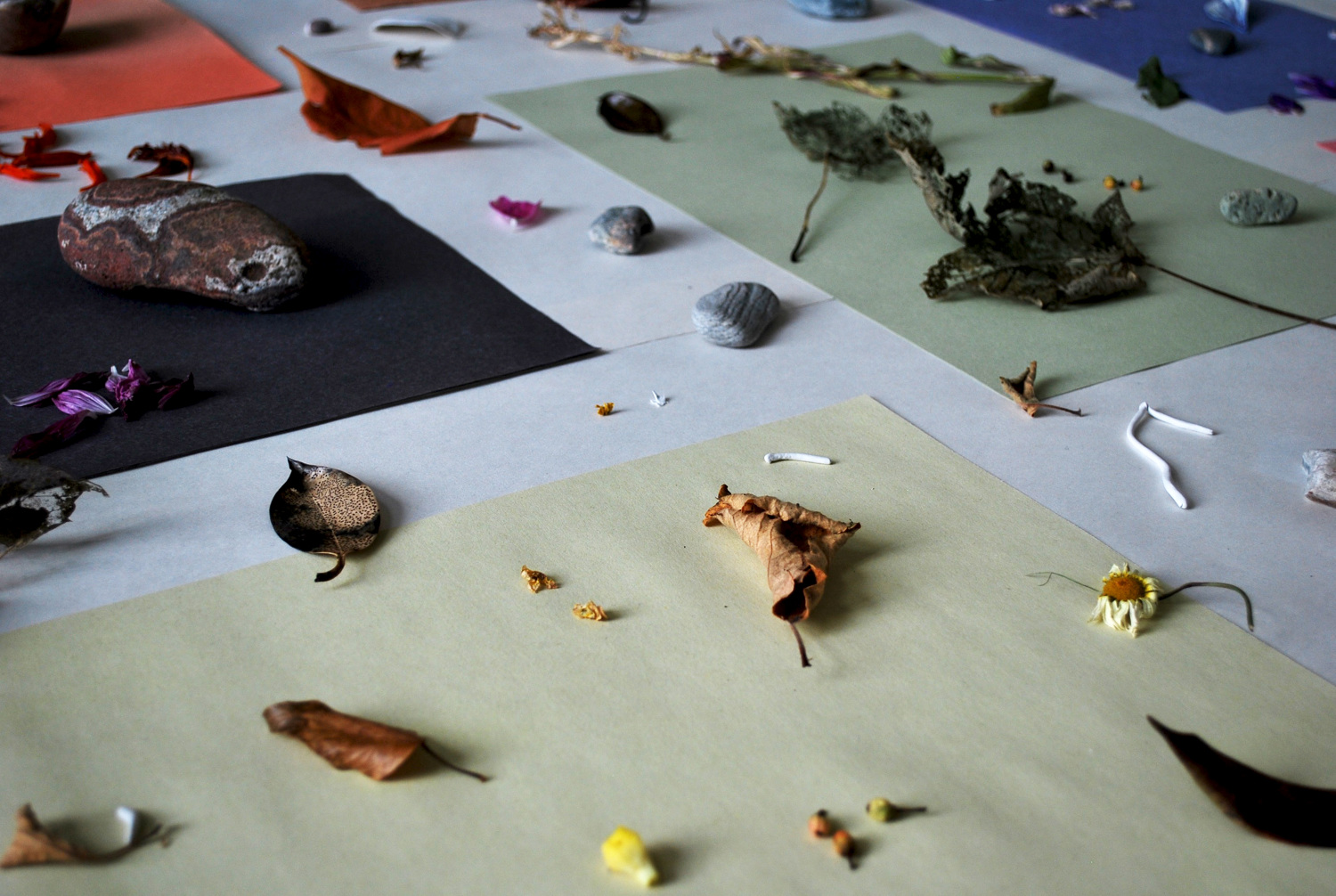 Hospitalfield Arts - Rachel Barron
