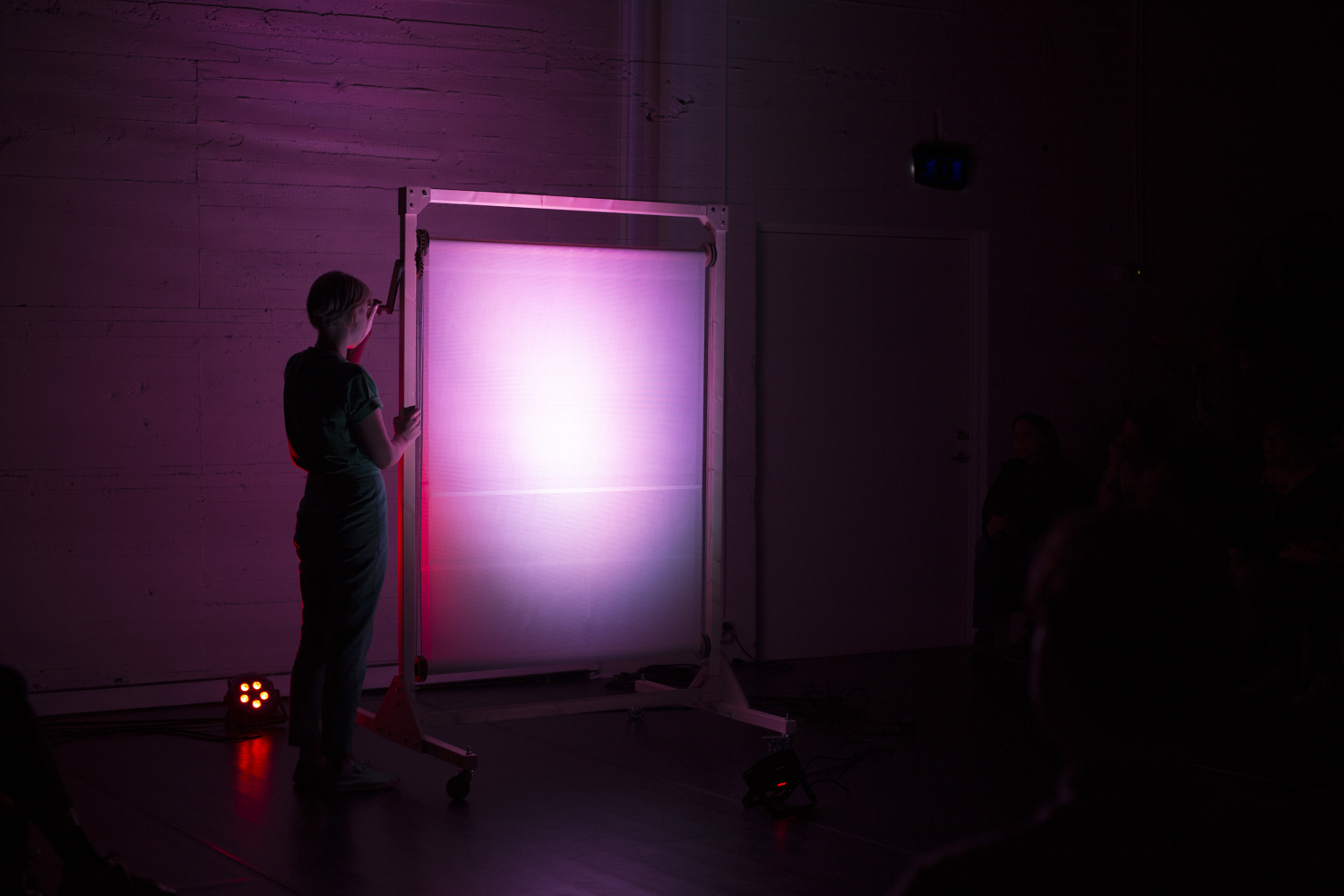 Screen (1) - Rachel Barron