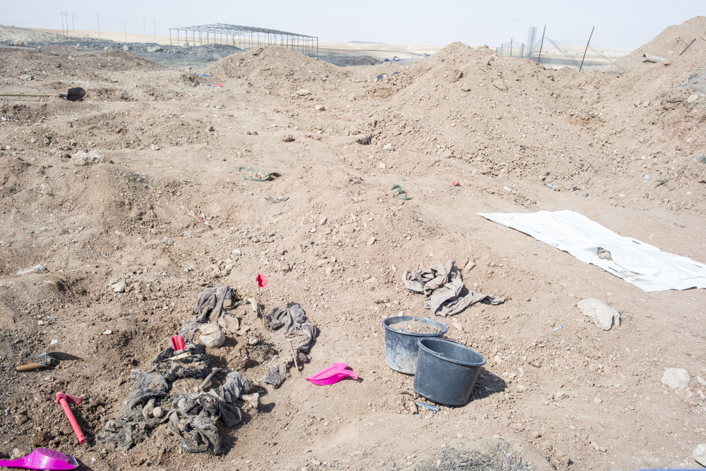 Iraq: Phoenix rises from the Ashes - claudia willmitzer