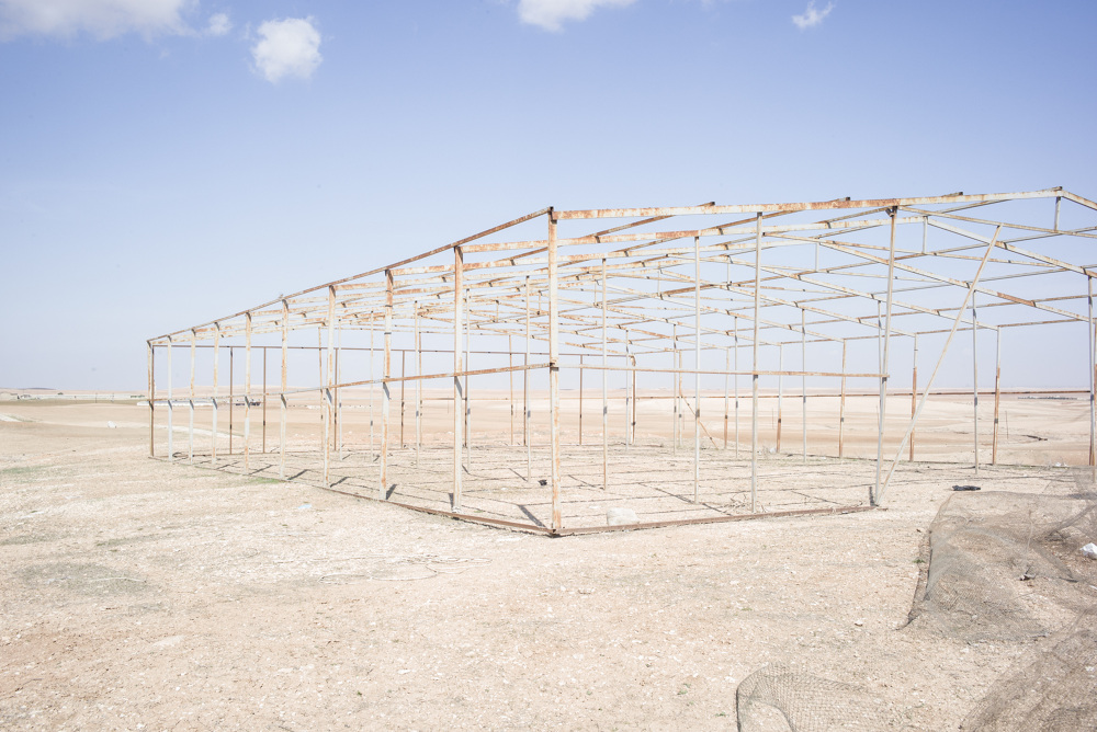 Iraq: Phoenix rises from the Ashes - claudia willmitzer