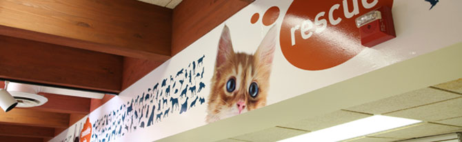 Animal Humane Society - brandonvanliere