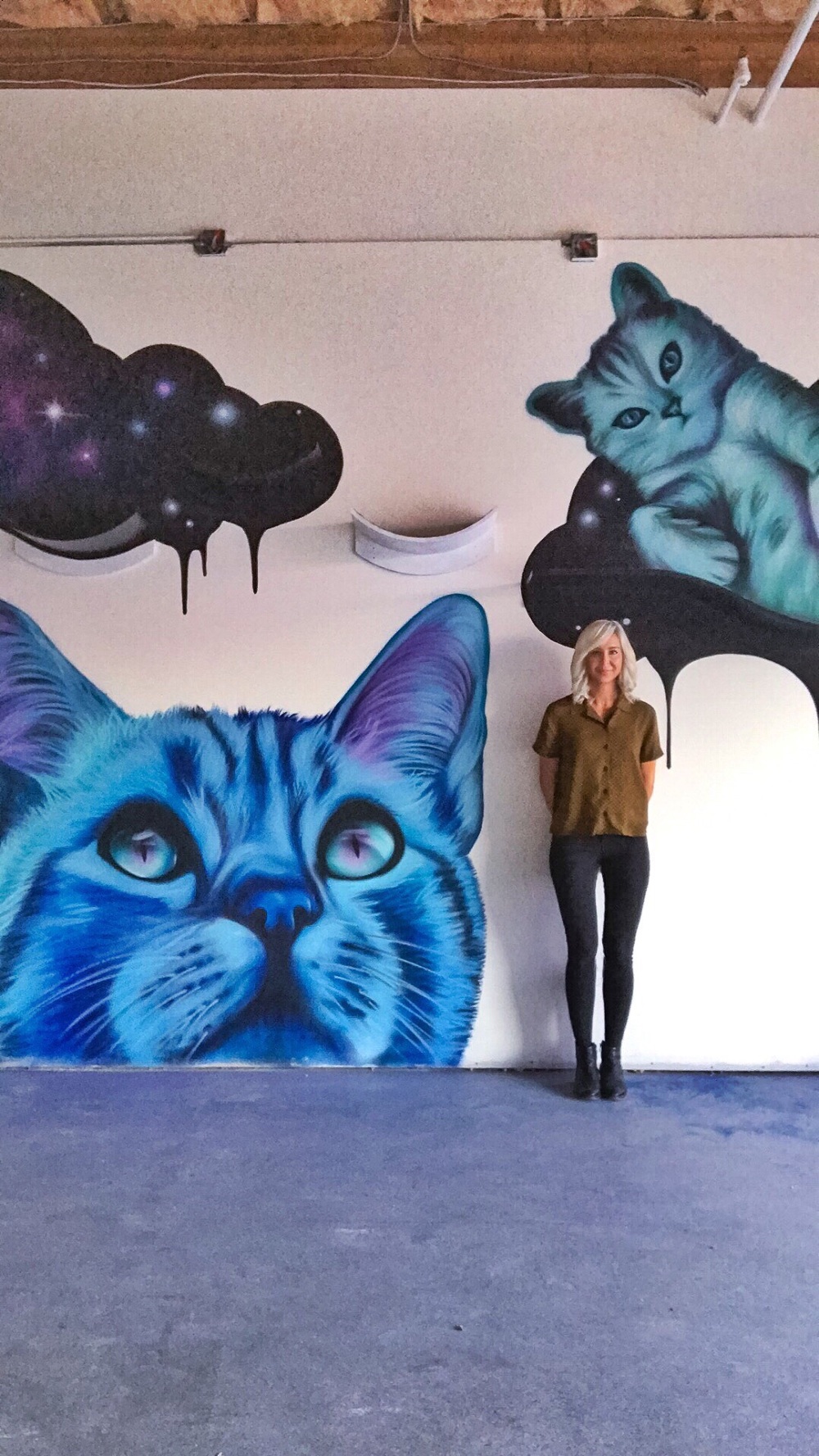 Cat & Craft Mural - Carly Ealey - Art, Photo, Design, Social