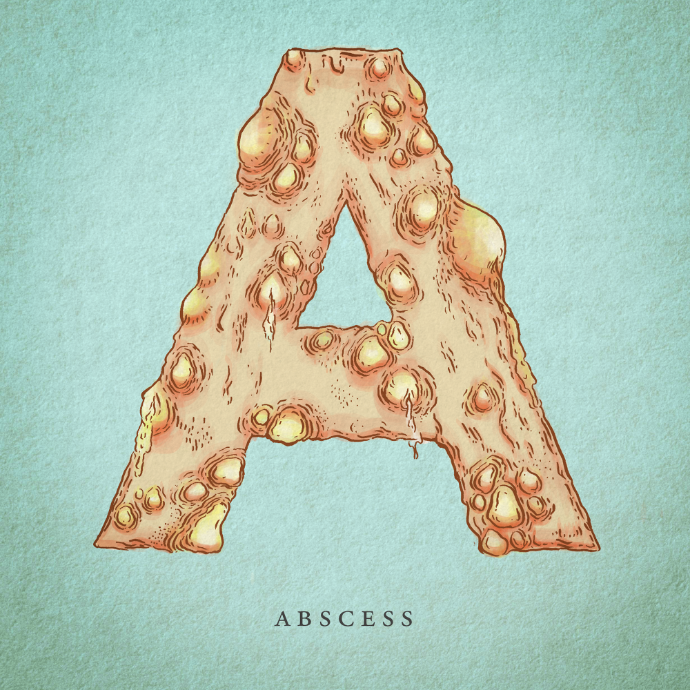 Anatomical Alphabet - Heidi Unkefer