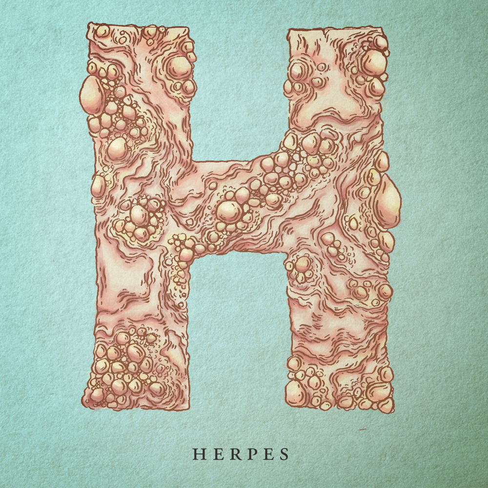 Anatomical Alphabet - Heidi Unkefer