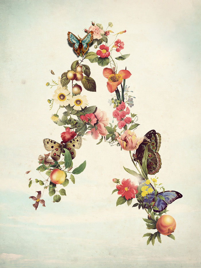 Matthew Carter Tribute - Adam&Company