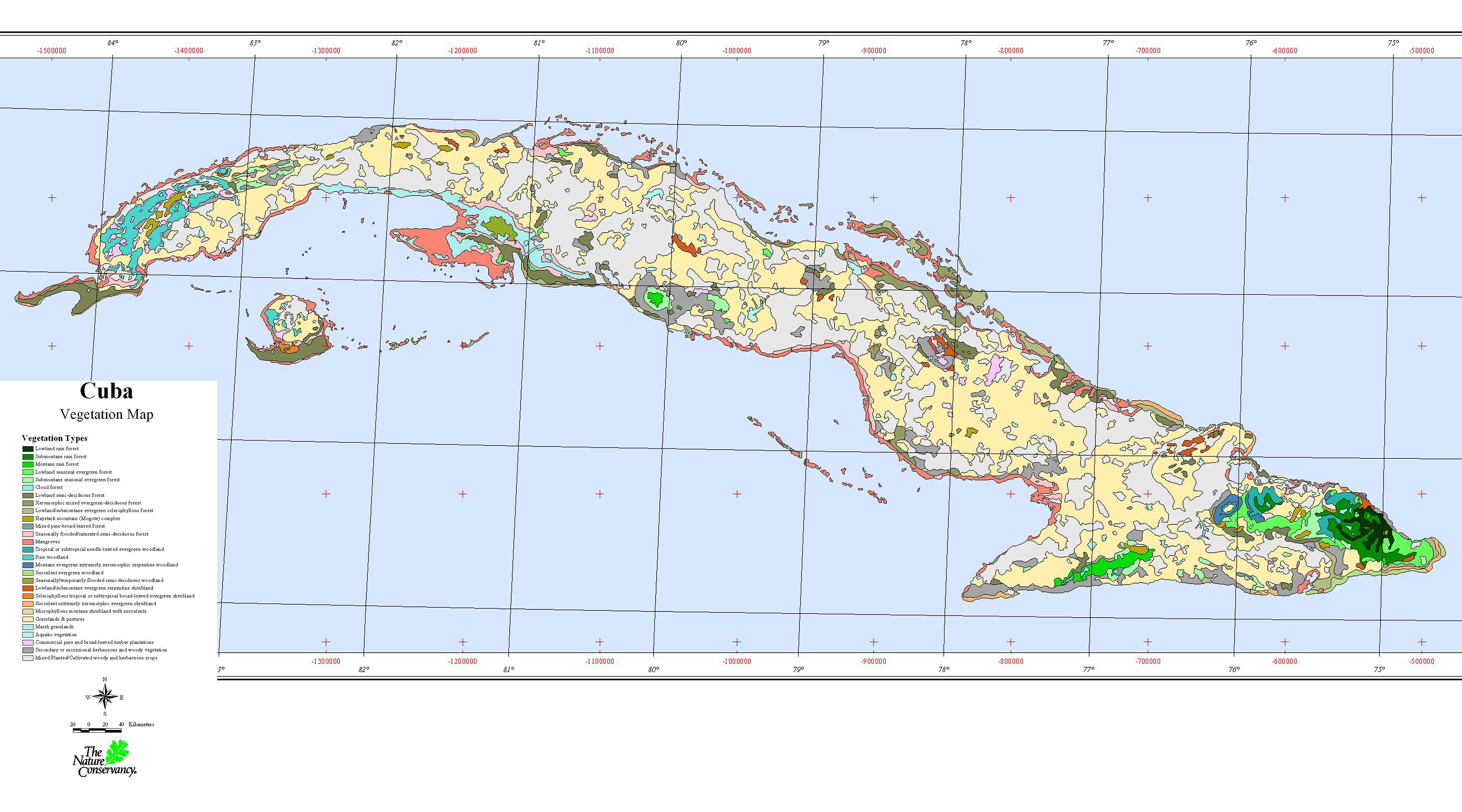 Reimagining Cuban Roads - Sonny Xu