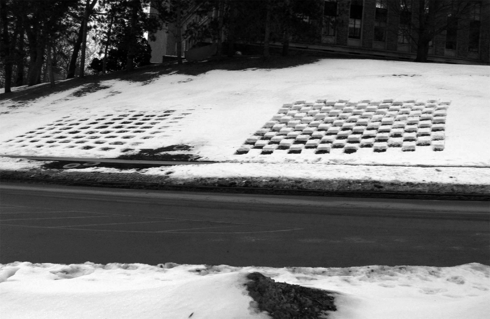snow grid