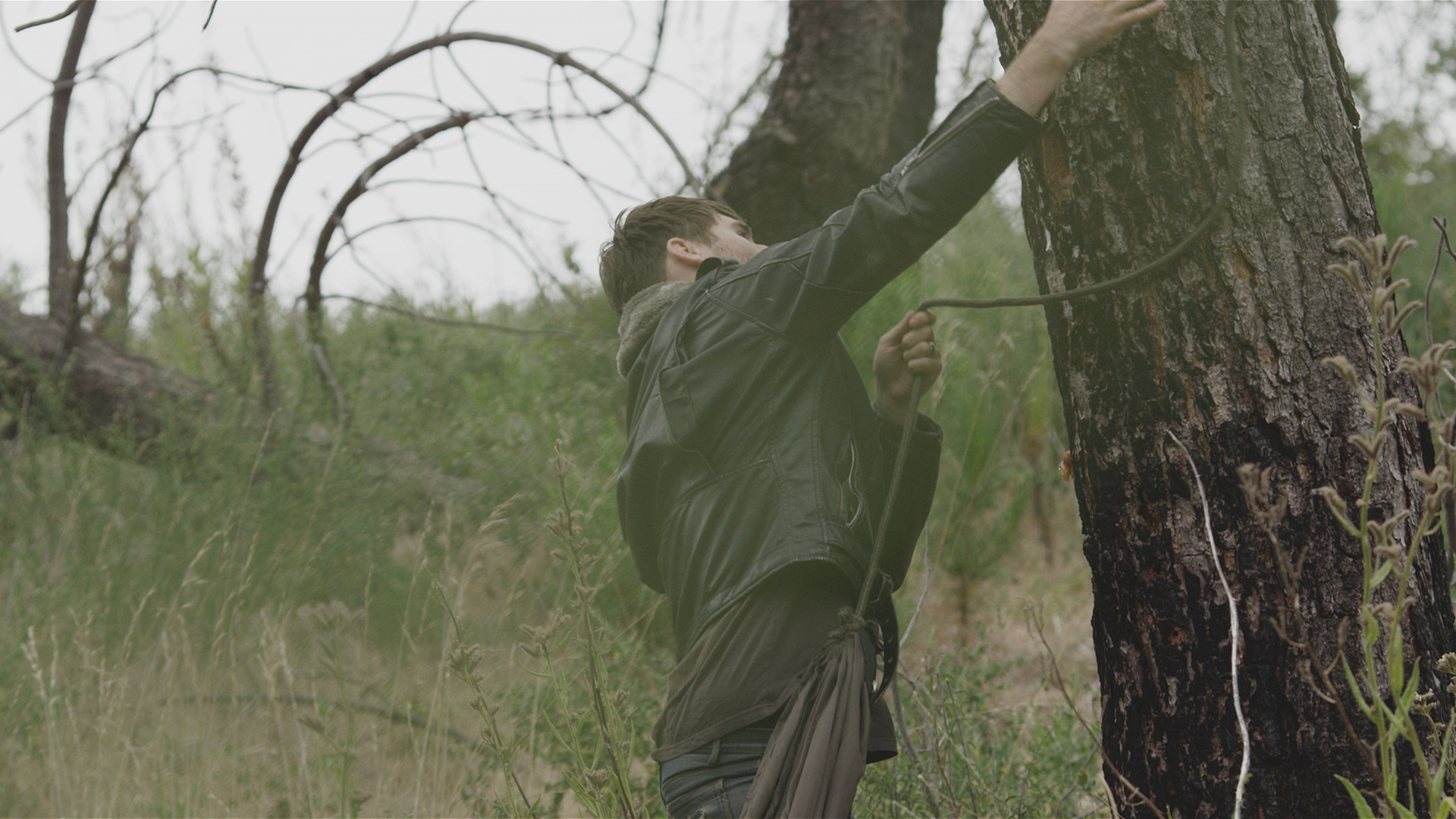 •ENCOUNTER COLLECTION - •MATT FEZZ