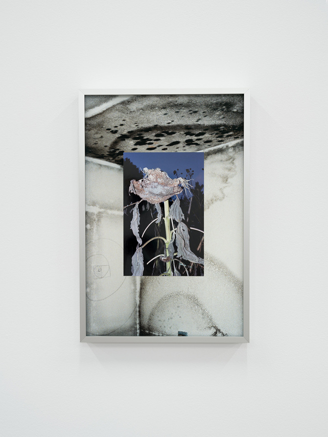 Around Us - Jeff Downer