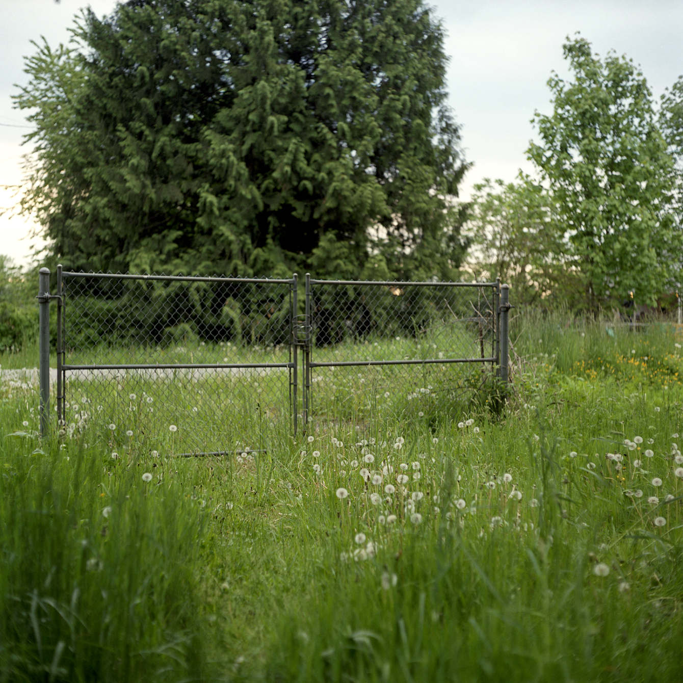 A Suburb - Either Here or There - Jeff Downer