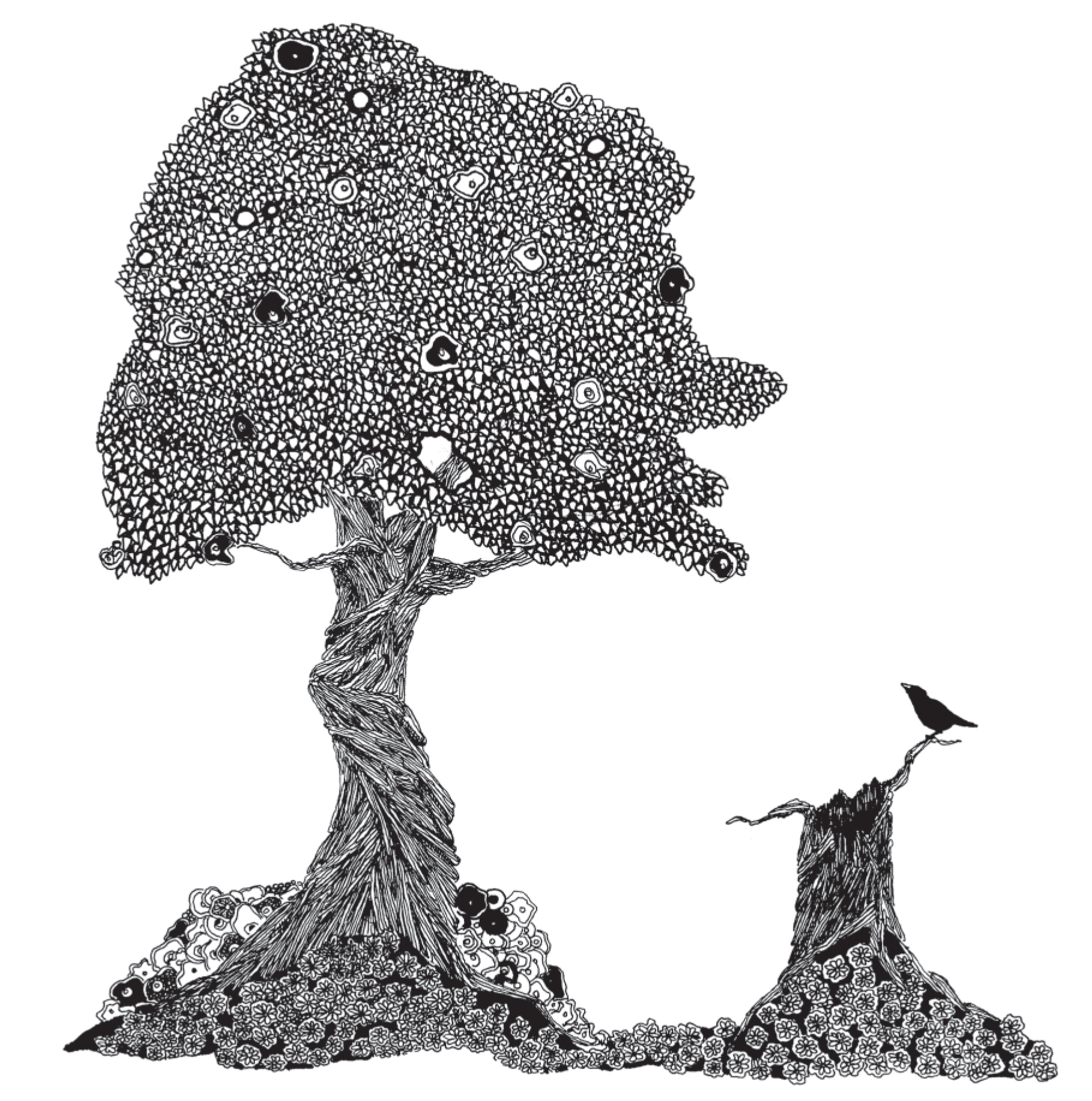 Illustrated Poems - Victoria Weaver