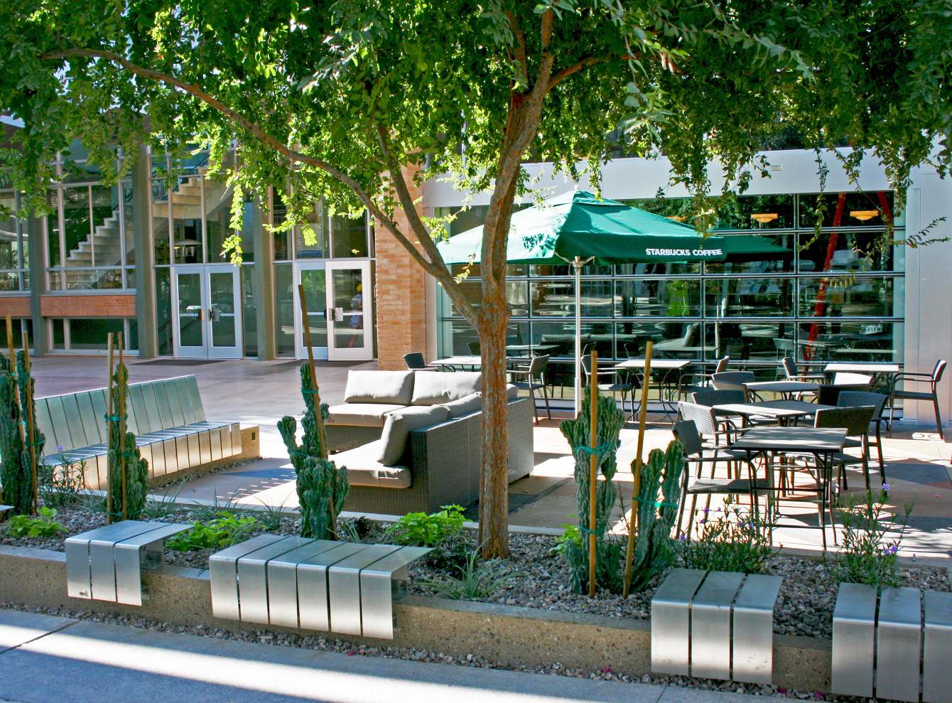 ASU Starbucks Patio Remodel - Carmen Moussa Architecture