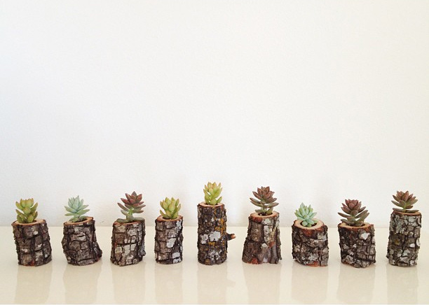 TWIG + BUNDLE - www.trilbynelson.com