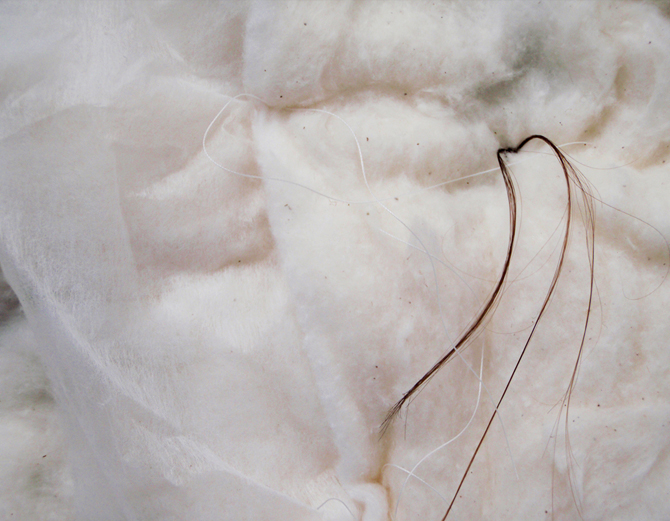 Surcease - Mary Babcock