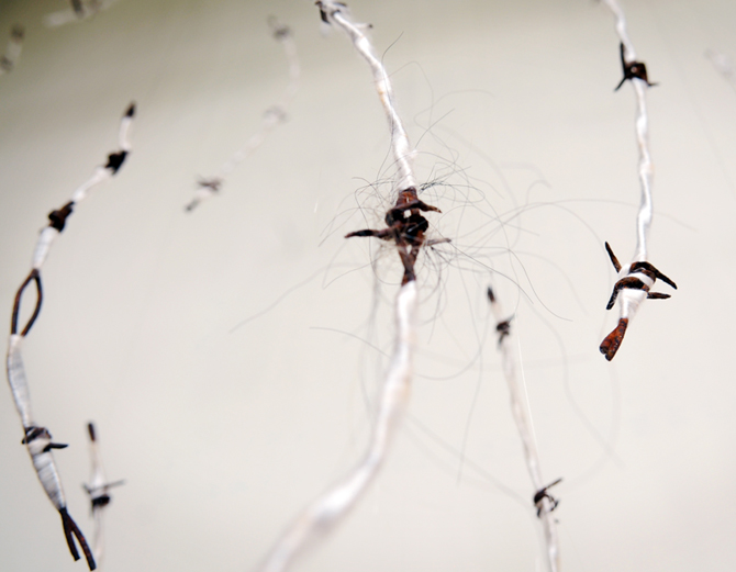 Surcease - Mary Babcock