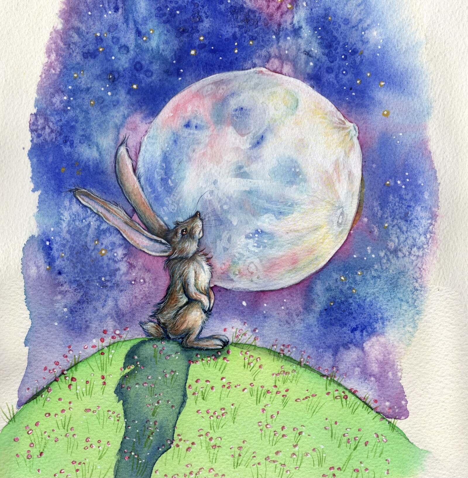 Children's Book Illustration - Emma Stuart Illustration