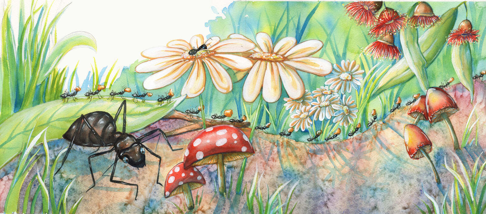 Children's Book Illustration - Emma Stuart Illustration