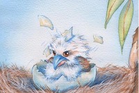 Children's Book Illustration - Emma Stuart Illustration