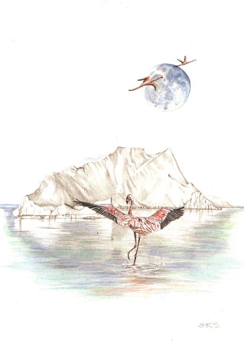 Drawings - Emma Stuart Illustration
