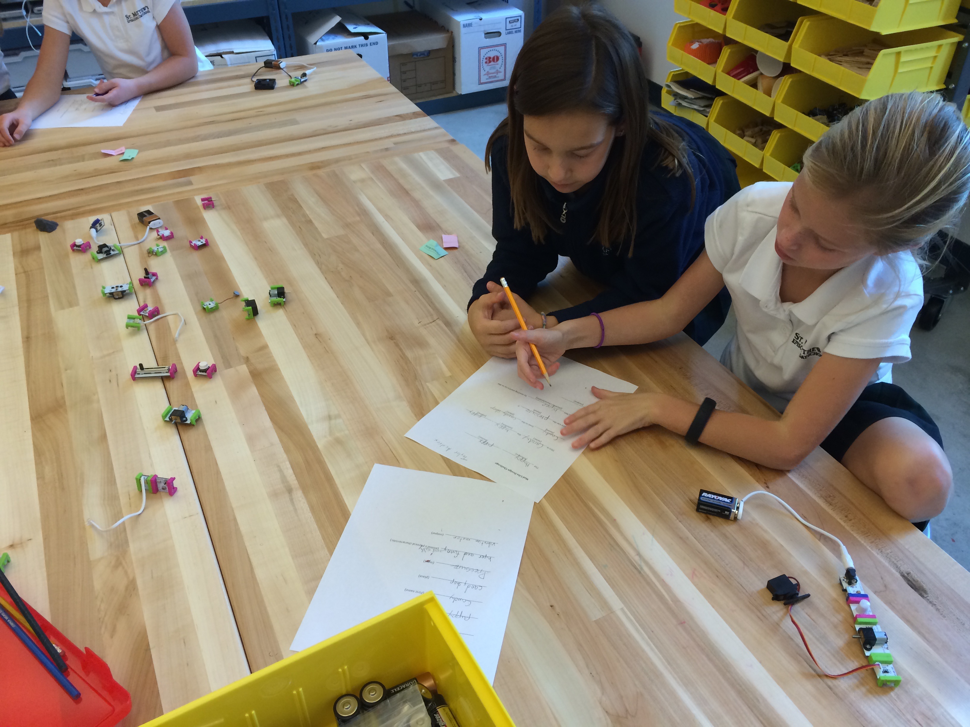 Circuit Animals - Jason Mickelson