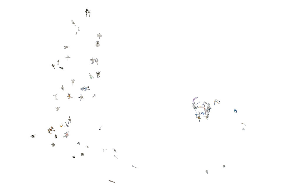 RHIZOME - Boris Labbé