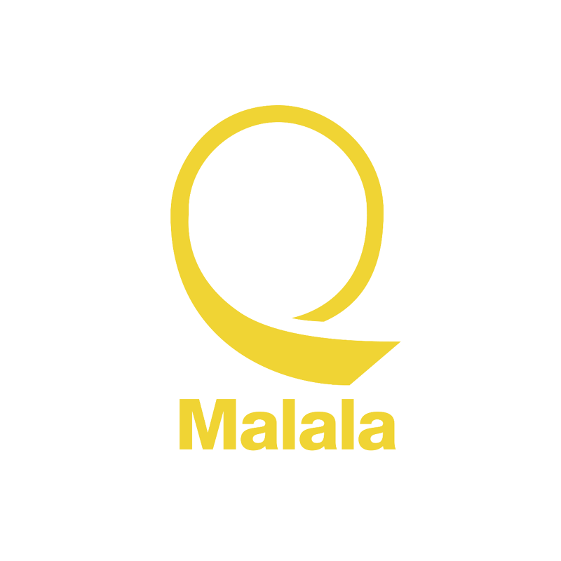 Malala Fund Rebranding - Vandna Cheena Jain