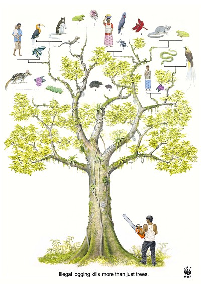 illegal logging poster