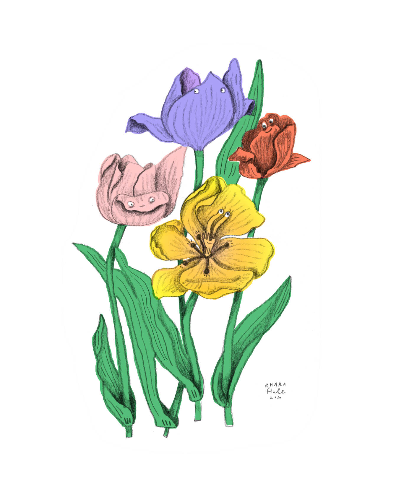 how to draw a rose vimeo