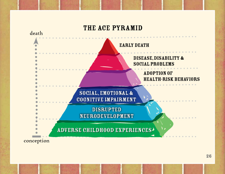 ACE Interface Training Presentation - AP Designworks LLC