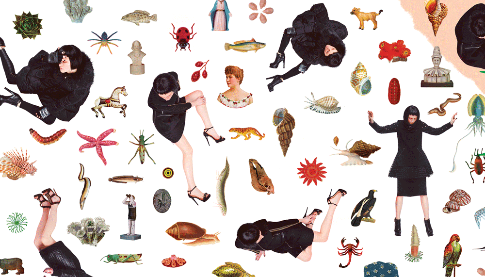 Encyclopedia - KALUN.JP