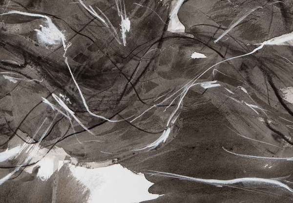 Large abstract drawings, 2016 - Liz Asch - Artist, Writer