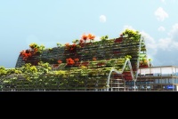 Port and Cruise Service Center - kubotabachmann