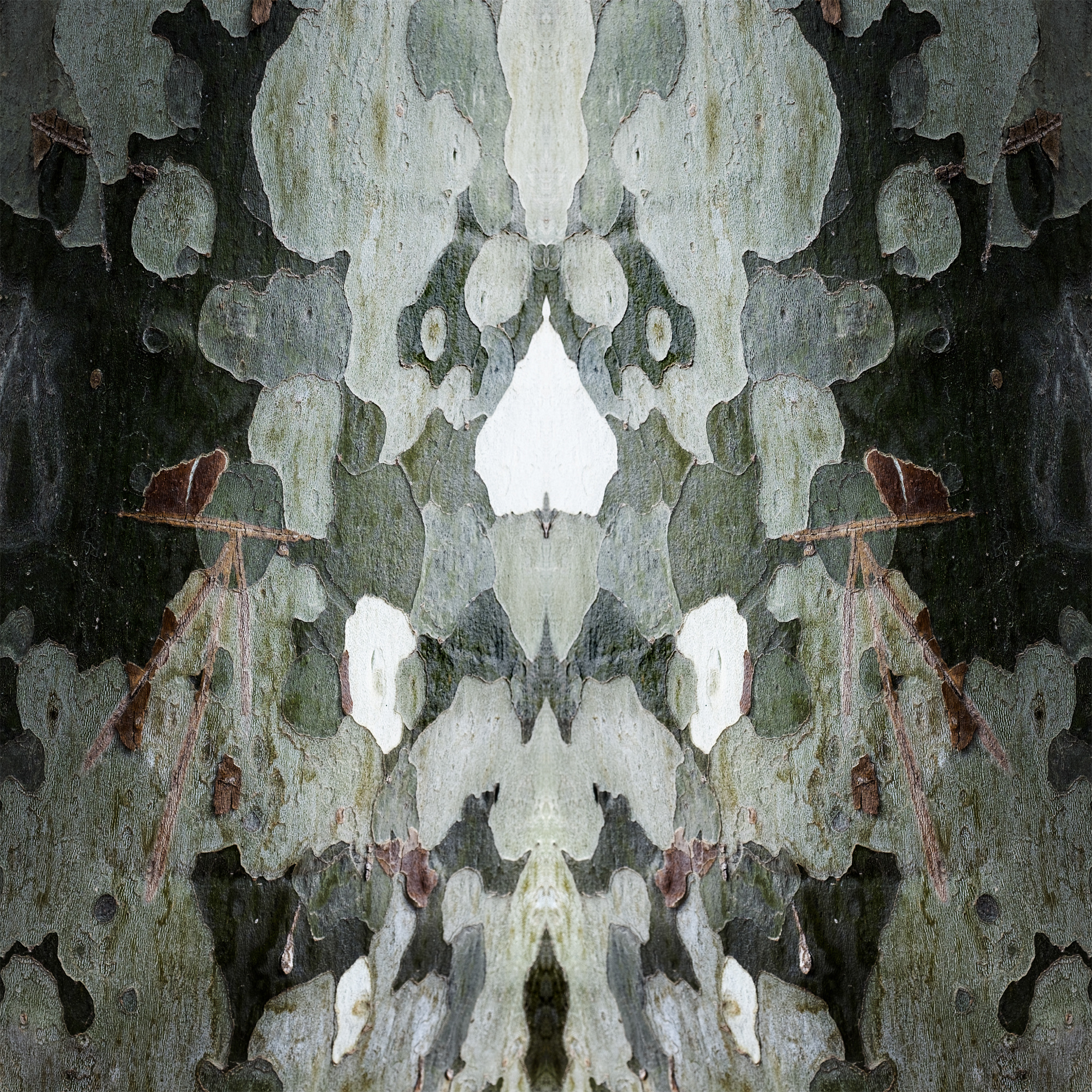 Duplicity Duplicité - Steve Murez: photography and video