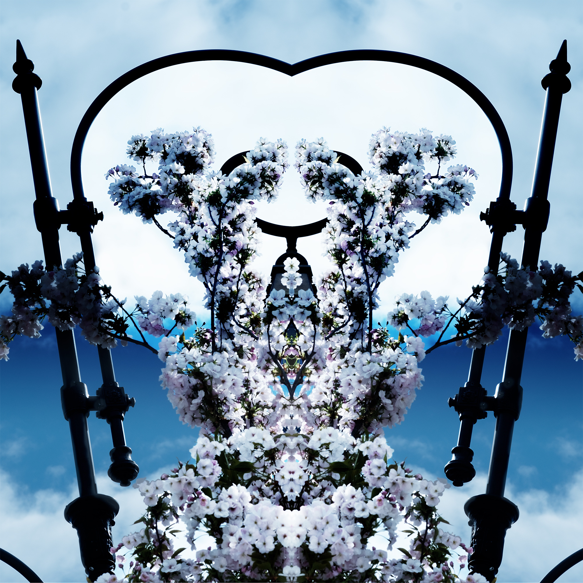 Duplicity Duplicité - Steve Murez: photography and video