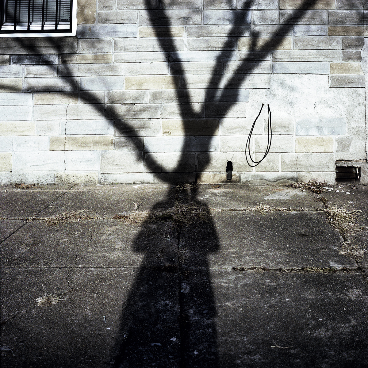 The Uncanny Square - Steve Murez: photography and video