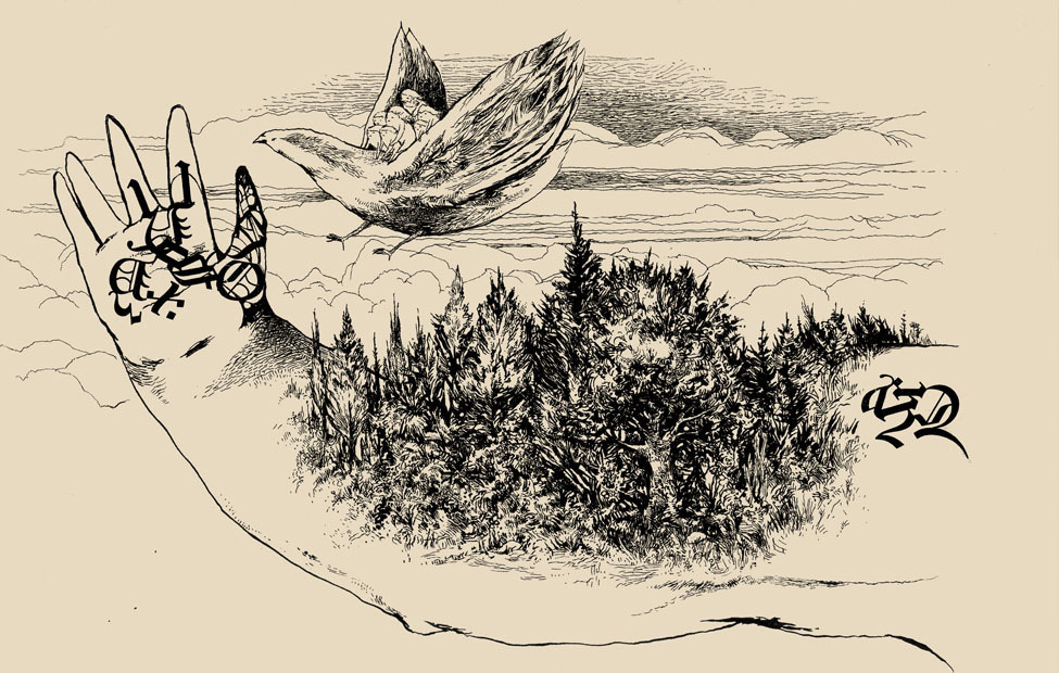 MISC. DRAWINGS ink on paper - Scott Lenhardt