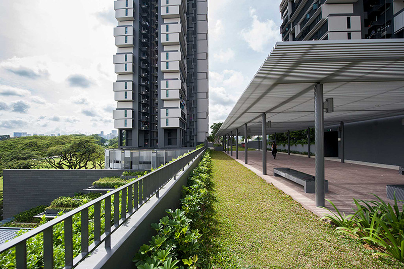 SkyTerrace@Dawson - Sftey