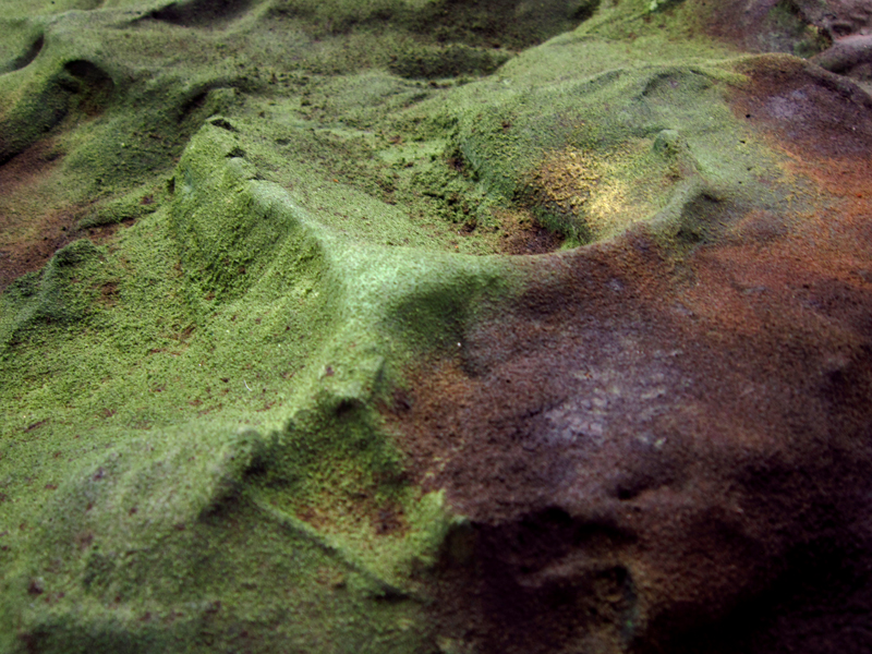 Clear transparent poison // 12-13 - Tania Blanco