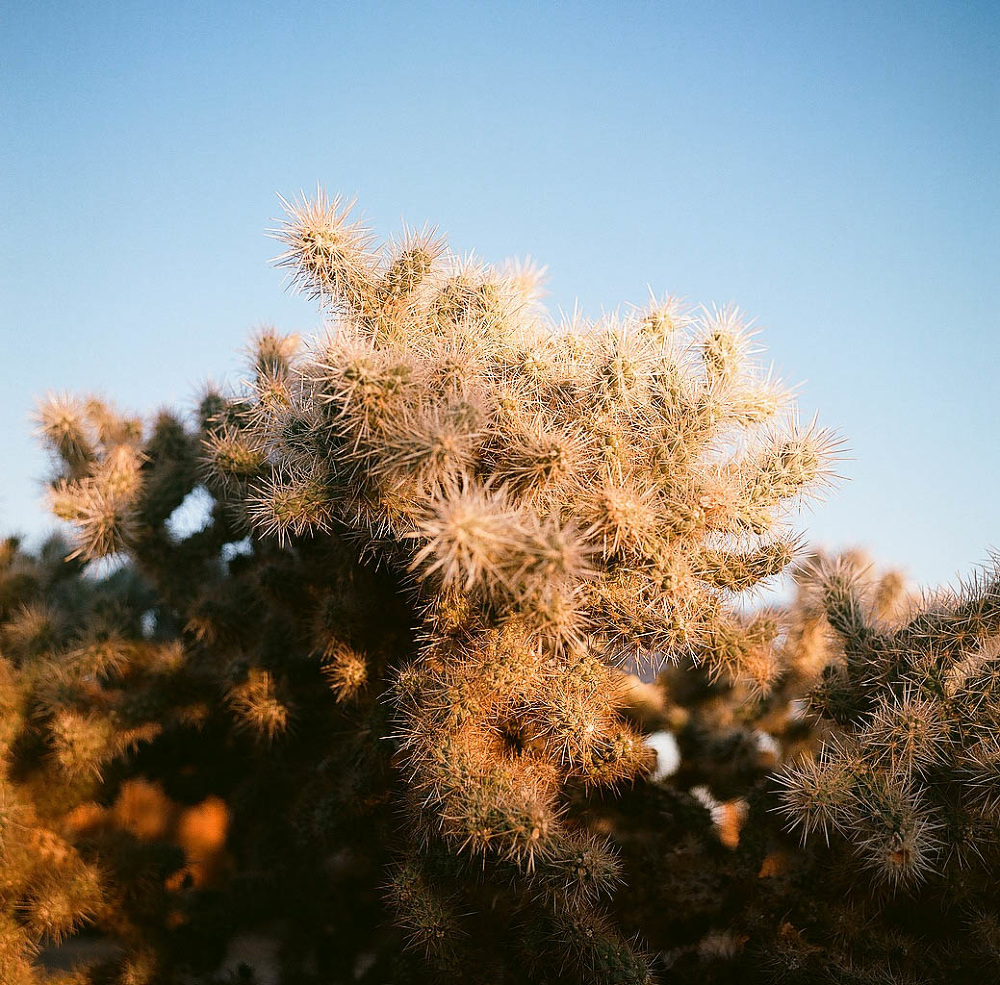 Noah Purifoy Desert Art Museum - Hannah Ray Taylor Photography