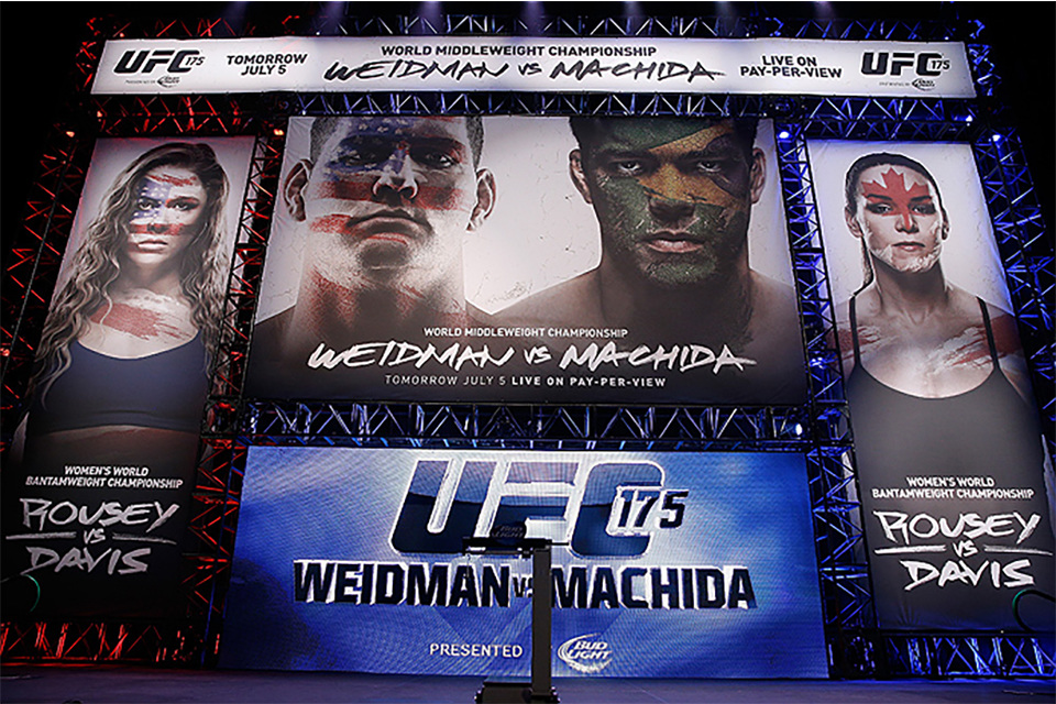 UFC 173 Key Art - Karen Tran