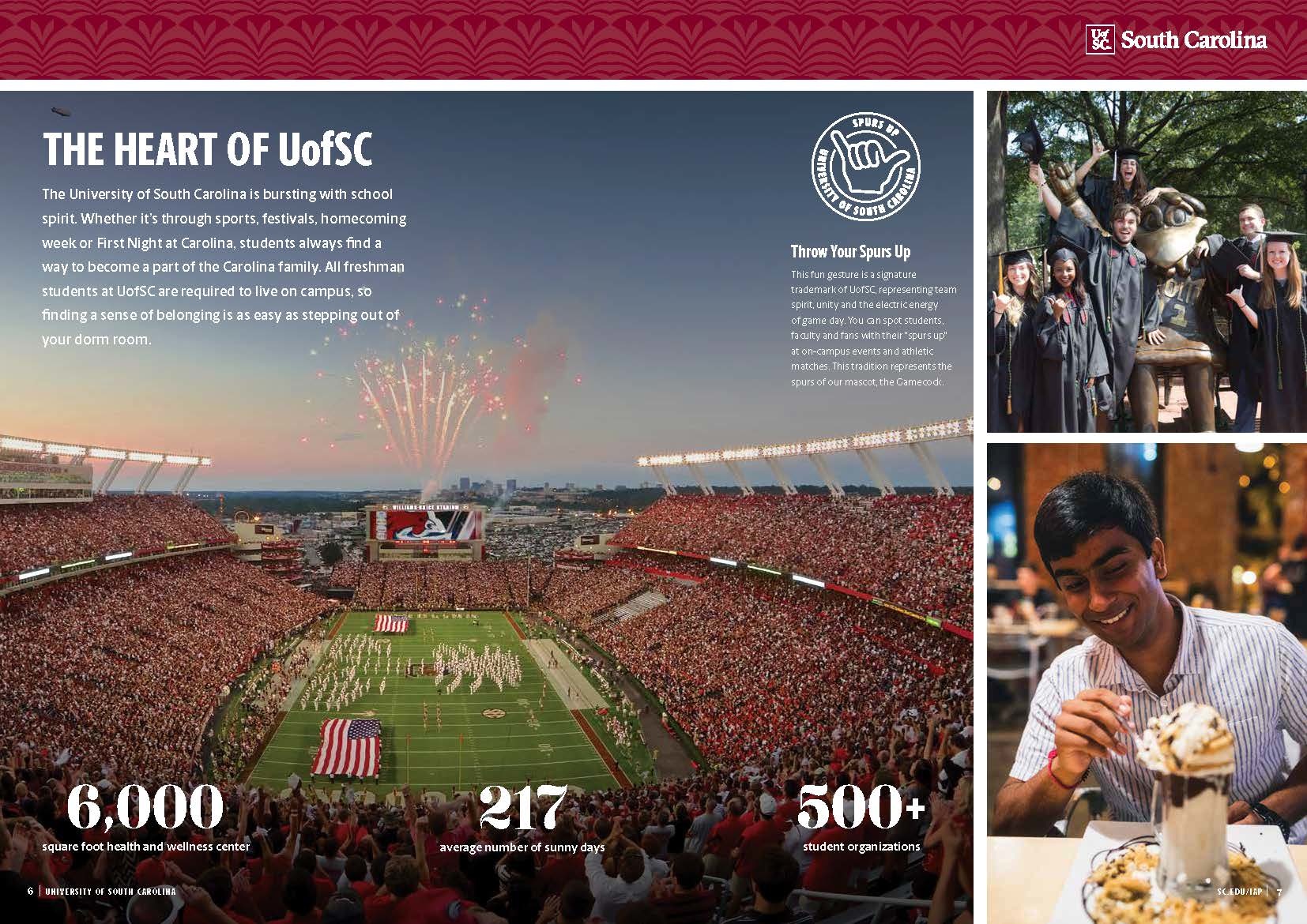 University of South Carolina Guidebook - Anthony Martinelli
