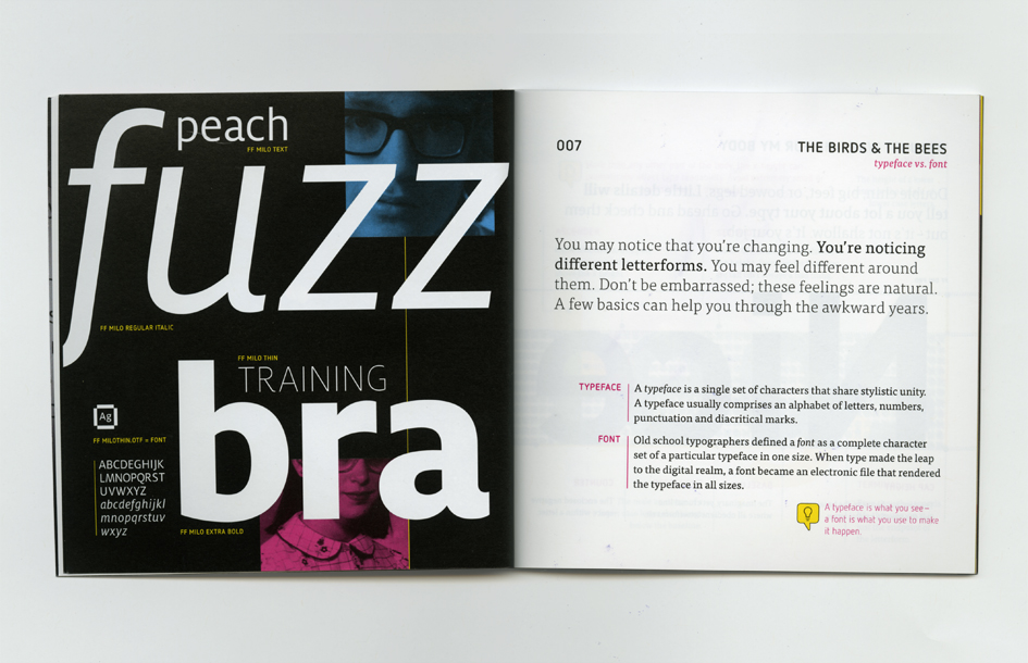 Meet Your Type:FontShop Field Guide - Manasseh Langtimm