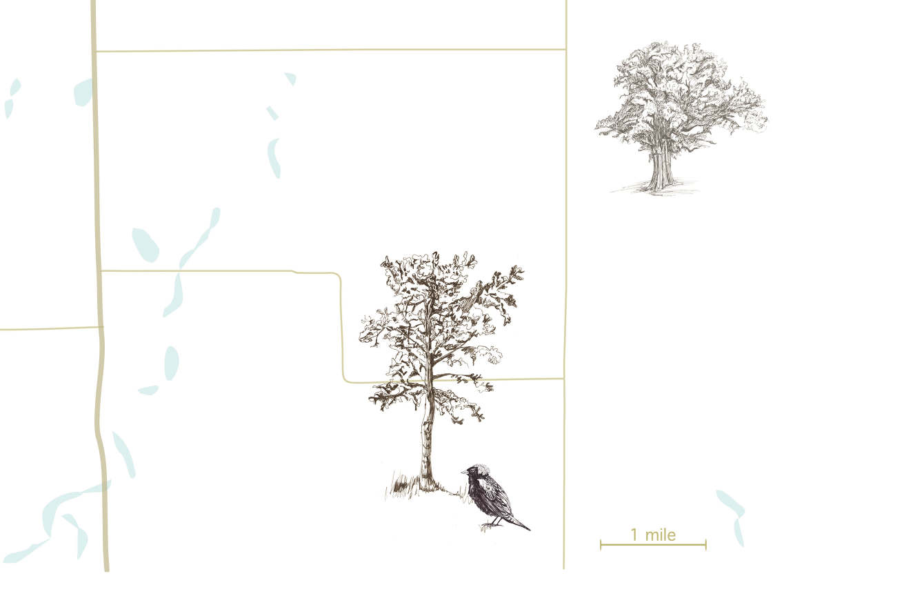 Farm Table map - Laura Bigger