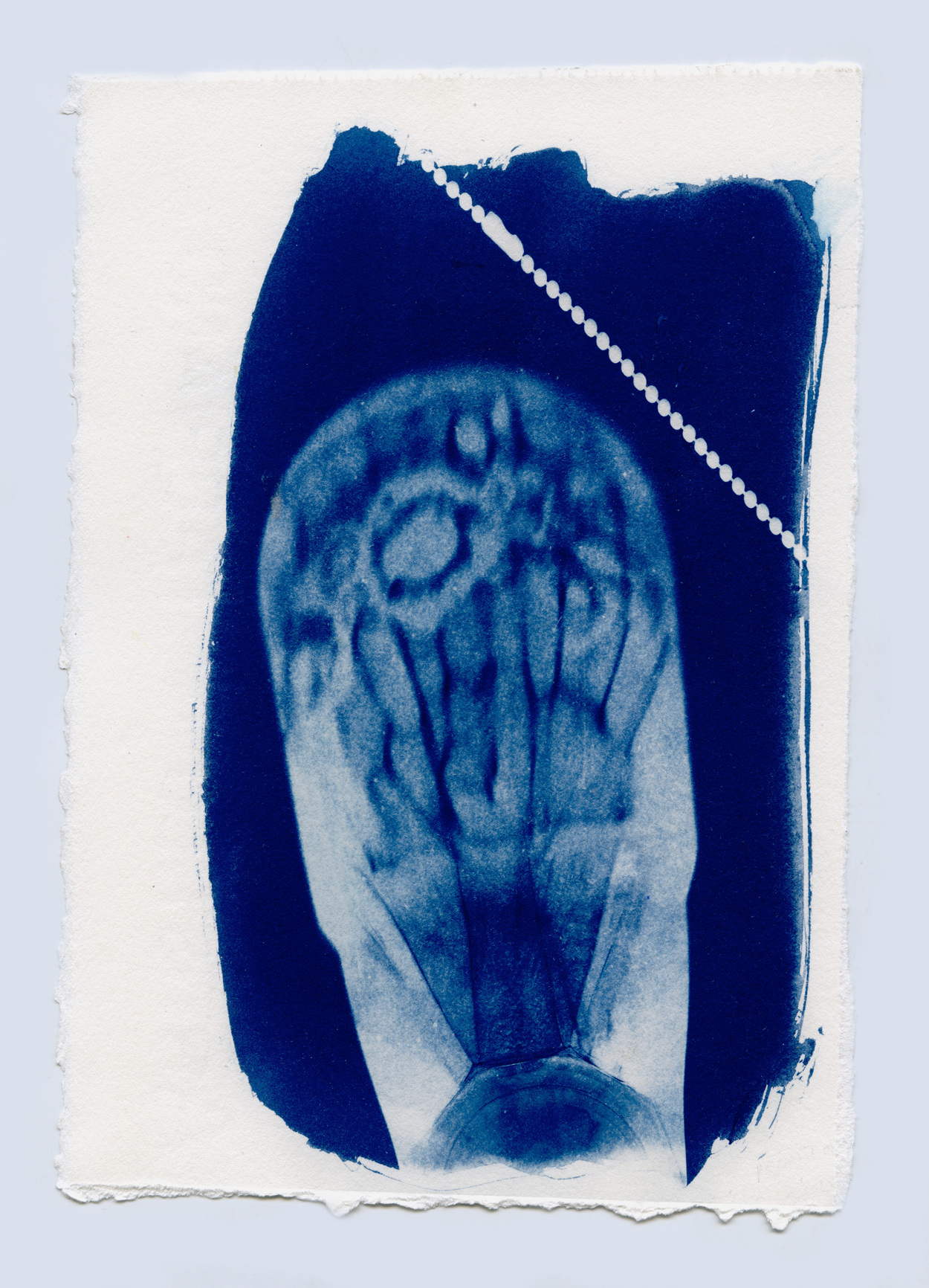 Cyanotypes - Sara Alonso