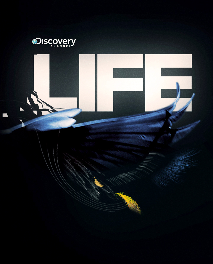 Discovery Channel LIFE - Mauricio Leon // Design & Motion Direction