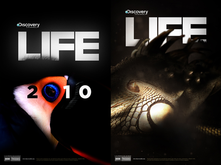 Discovery Channel LIFE - Mauricio Leon // Design & Motion Direction