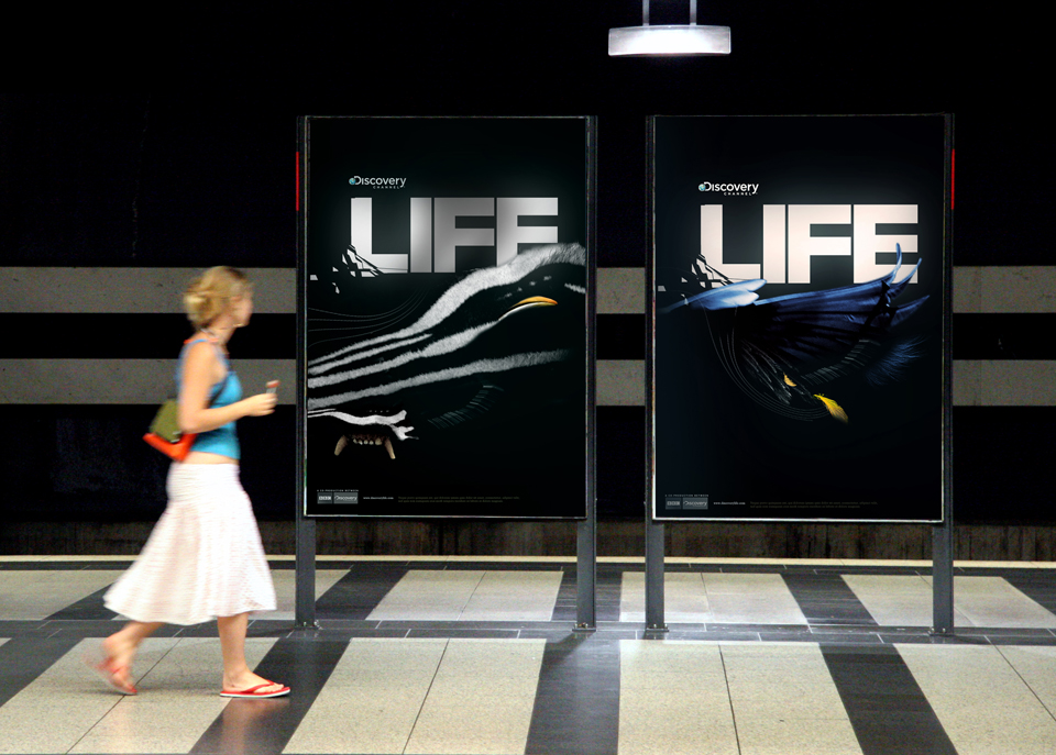 Discovery Channel LIFE - Mauricio Leon // Design & Motion Direction
